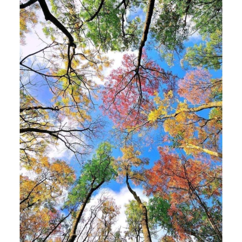 FOR SHOPEE CHECK OUT ONLY | Shopee Philippines