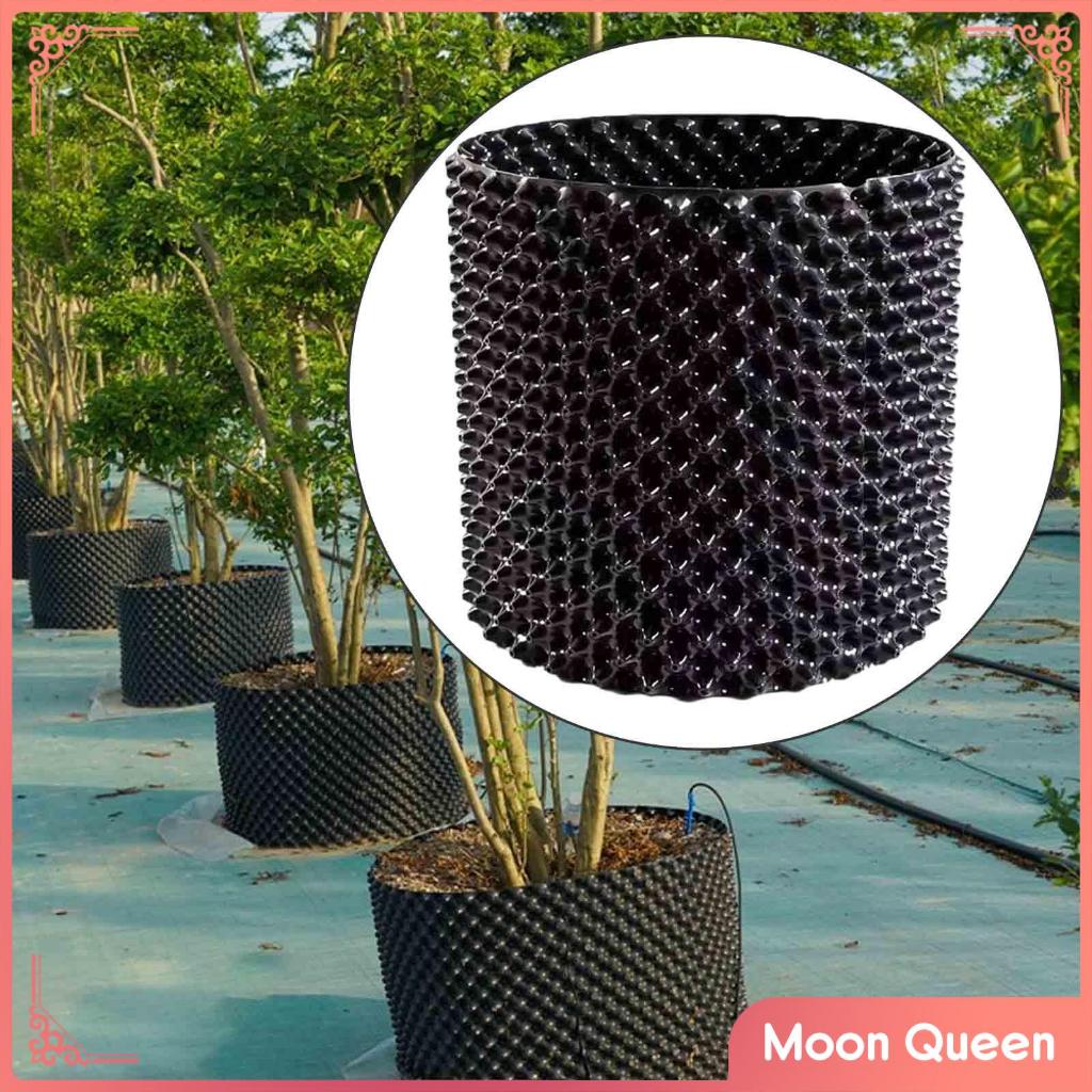 Moon Queen Air Root Pruning Pot Air Root Pot Air Pruning Pot for Fruit ...