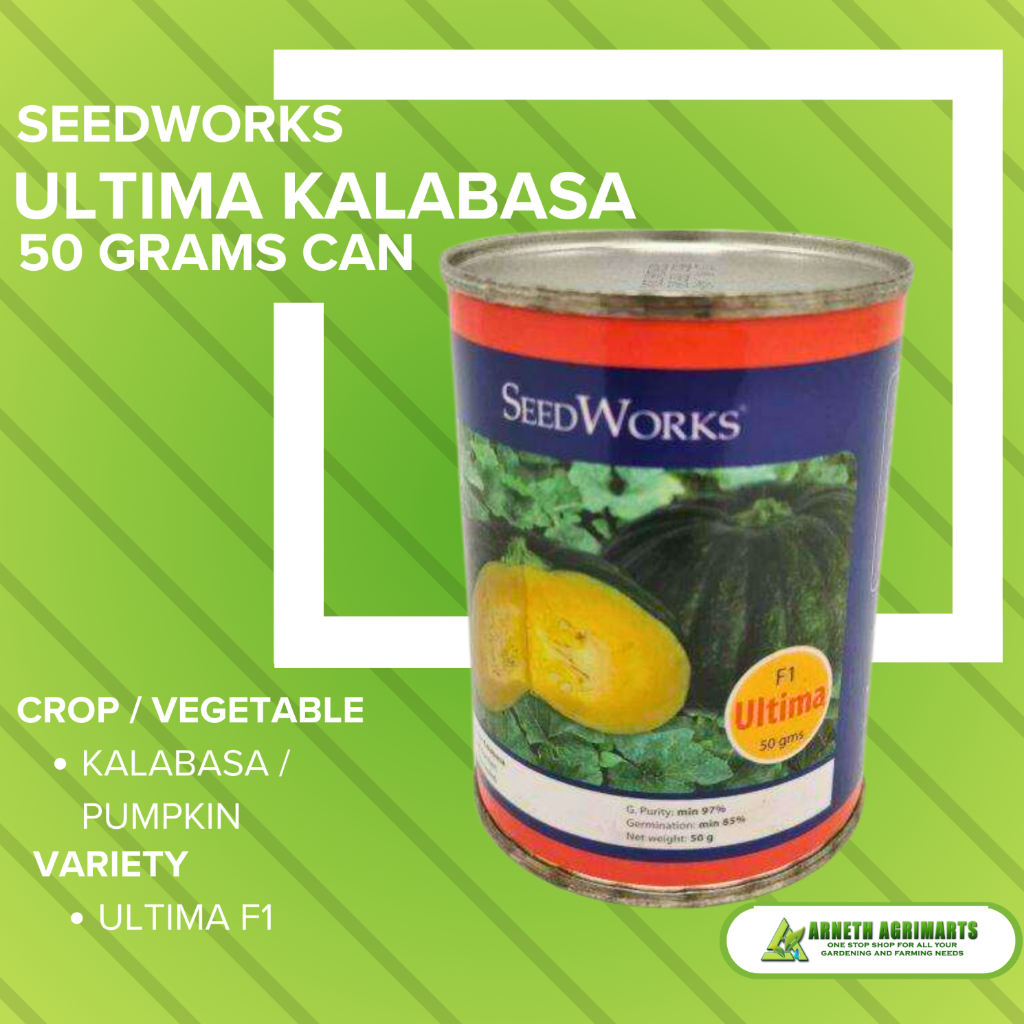 SEEDWORKS ULTIMA F1 KALABASA SEEDS ( 50 GRAMS CAN ) | Shopee Philippines