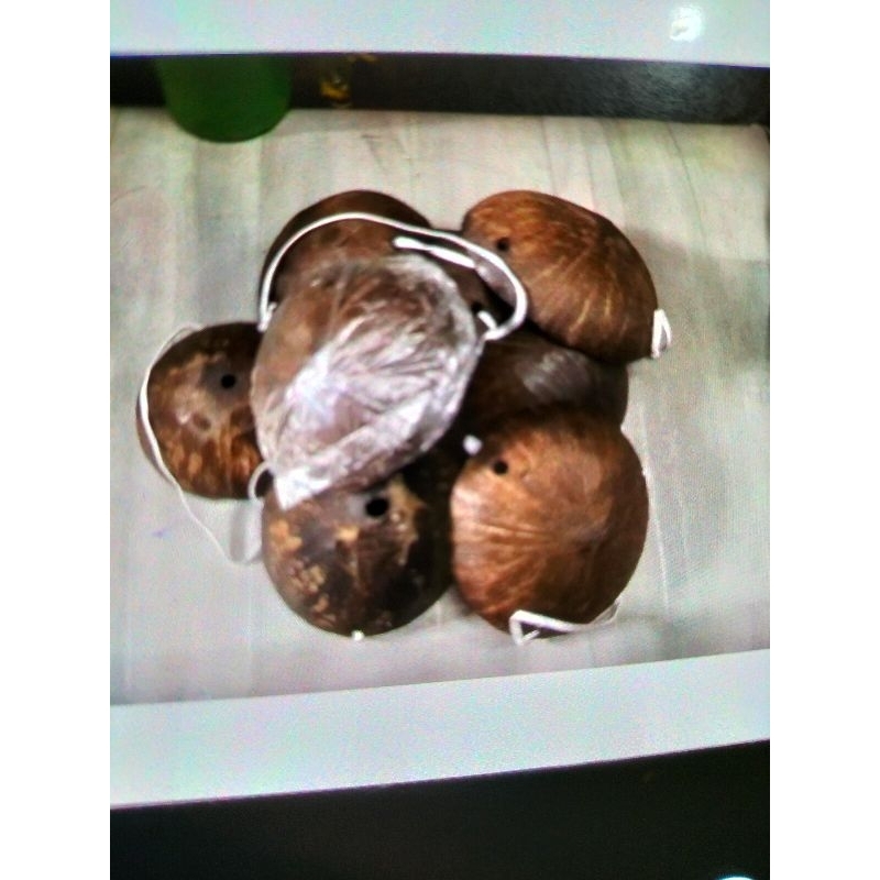 Bao Maglalatik for Filipino Folk Dance 10pcs | Shopee Philippines