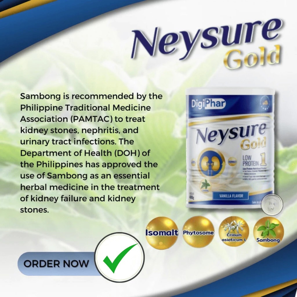 Neysure Gold 400g Para matulungan ang Kidney Failure Kidney Stone ...