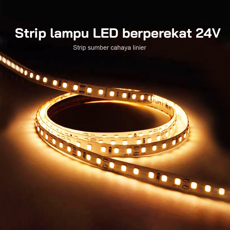 5M 10M LED Strip 12V 24V 120LEDs/m LED Lights High Brightness White/Red ...