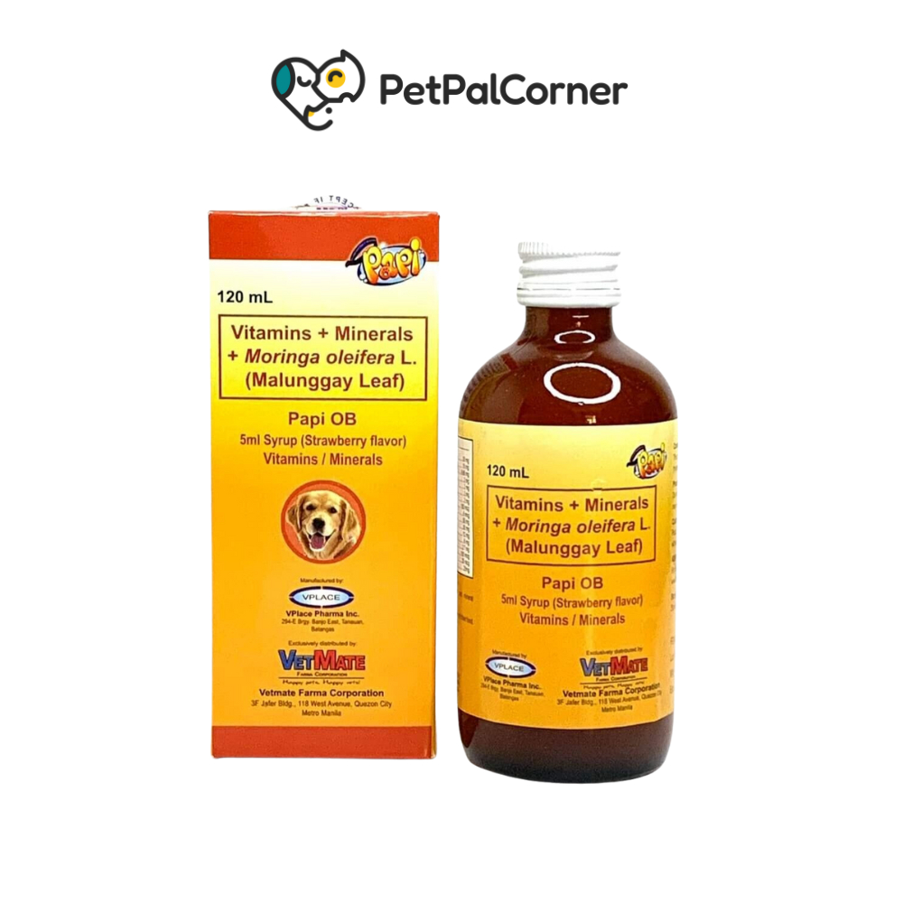 Papi OB 120mL (Vitamins & Minerals) | Shopee Philippines