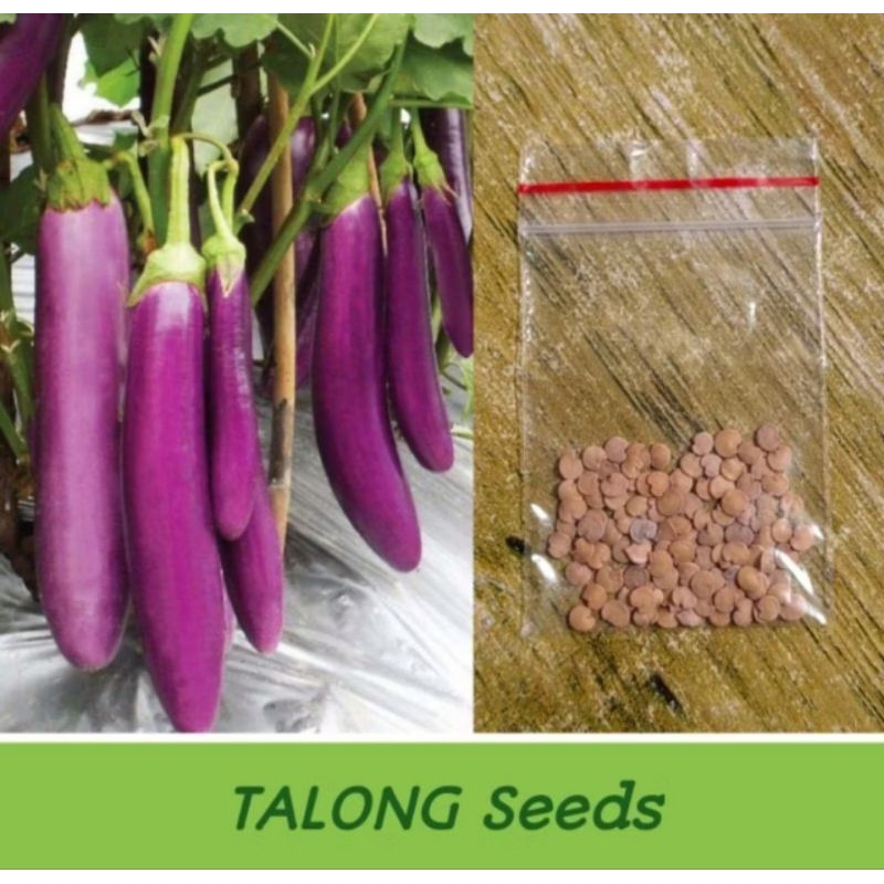 Talong Seeedssssssssss | Shopee Philippines
