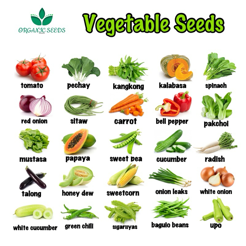 VEGETABLE SEEDS/HIGH QUALITY(Sulit pack) | Shopee Philippines
