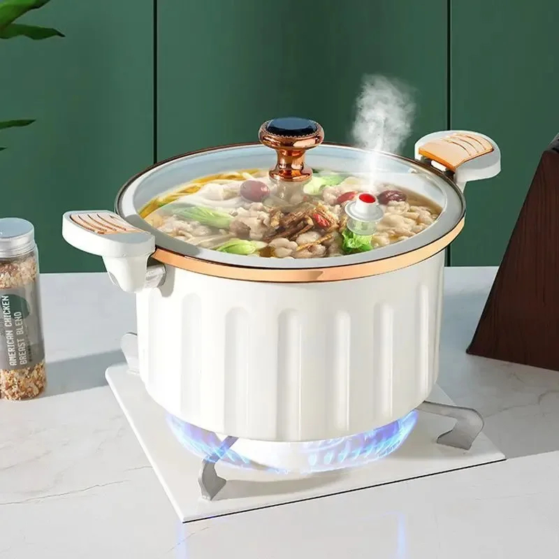 10L Cooking Pot with Lid Pressure Cooking Pot Rice Cooker Slow Cooker ...