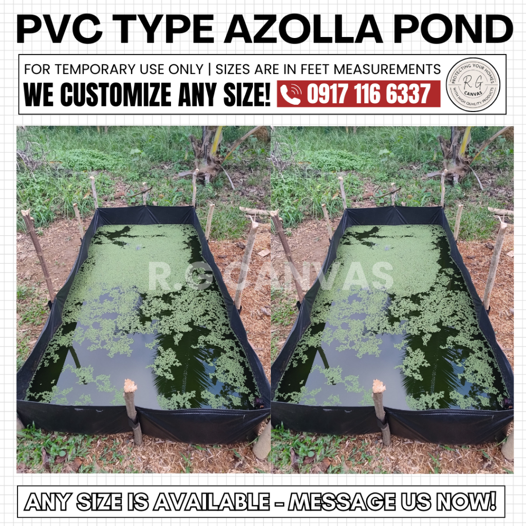 3x3x1 AZOLLA TRAPOND FISH POND KOI AZOLLA BED LONA TRAPAL TOLDA POND ...