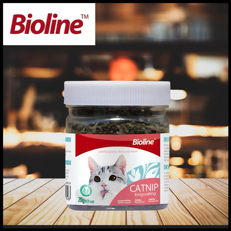 Bioline Catnip Invigorating (jar)20g | Shopee Philippines