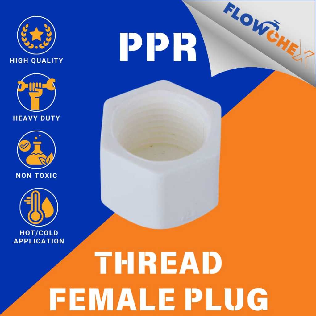 PPR FITTINGS- THREAD FEMALE PLUG | Shopee Philippines