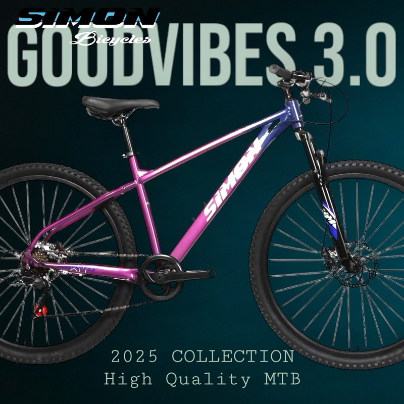 *NEW* 2025 MTB SIMON GOODVIBES 3.0 STEEL FRAME, Alloy parts, Sealed ...
