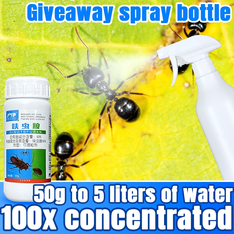 Soluble powder ant killer powder 50g ant spray killer | Shopee Philippines