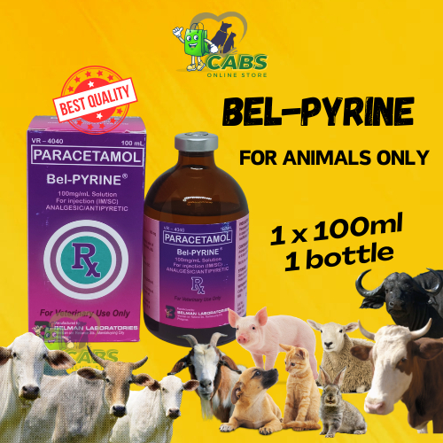 BEL-PYRINE ANALGESIC/ANTIPYRETIC | PARACETAMOL 10% INJECTION Belman ...