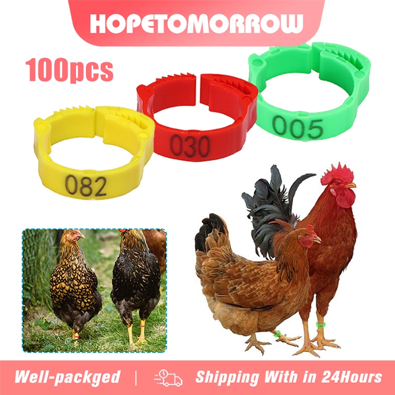 100 Pcs Chicken Leg Rings，Adjustable Readable Numbered Chicken ...