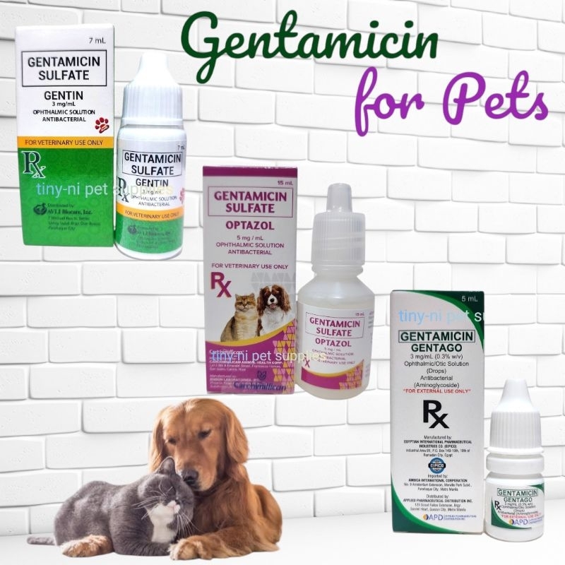 GentamicinPet for Dogs and Cats Gentin Optazol Gentago Eye Drops|5ml ...