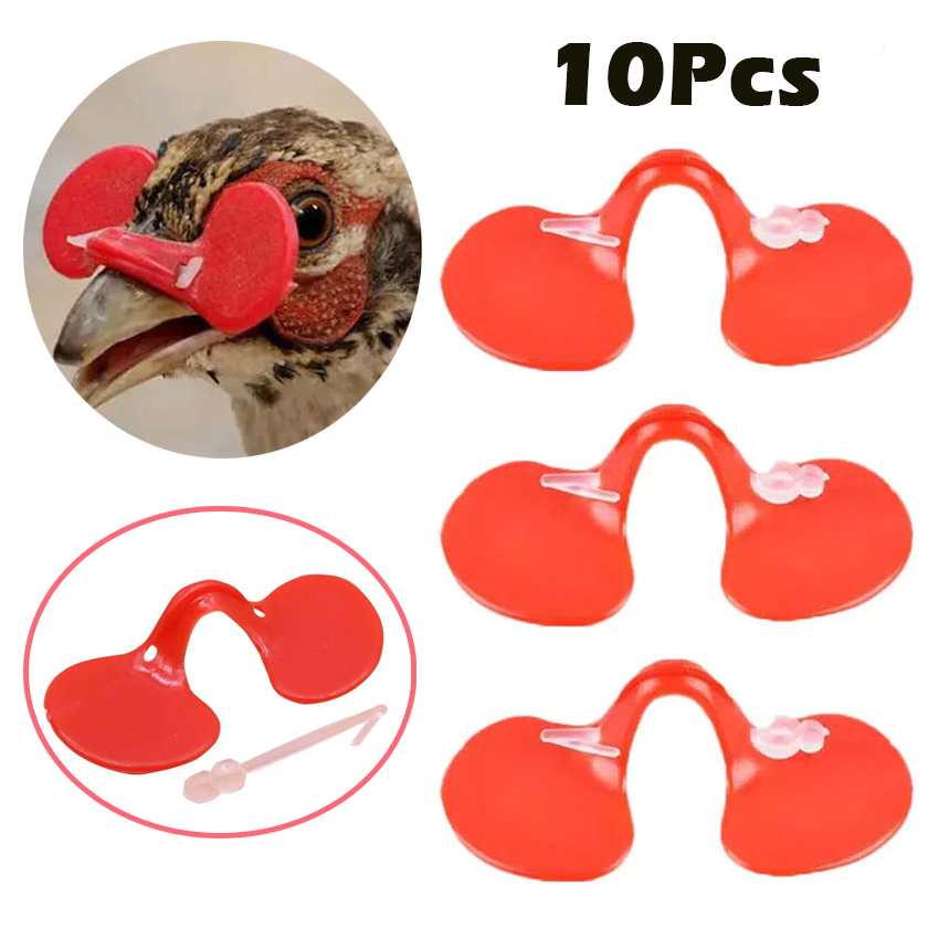 10Pcs Poultry blinders chicken glasses gamefowl rooster blinders to ...