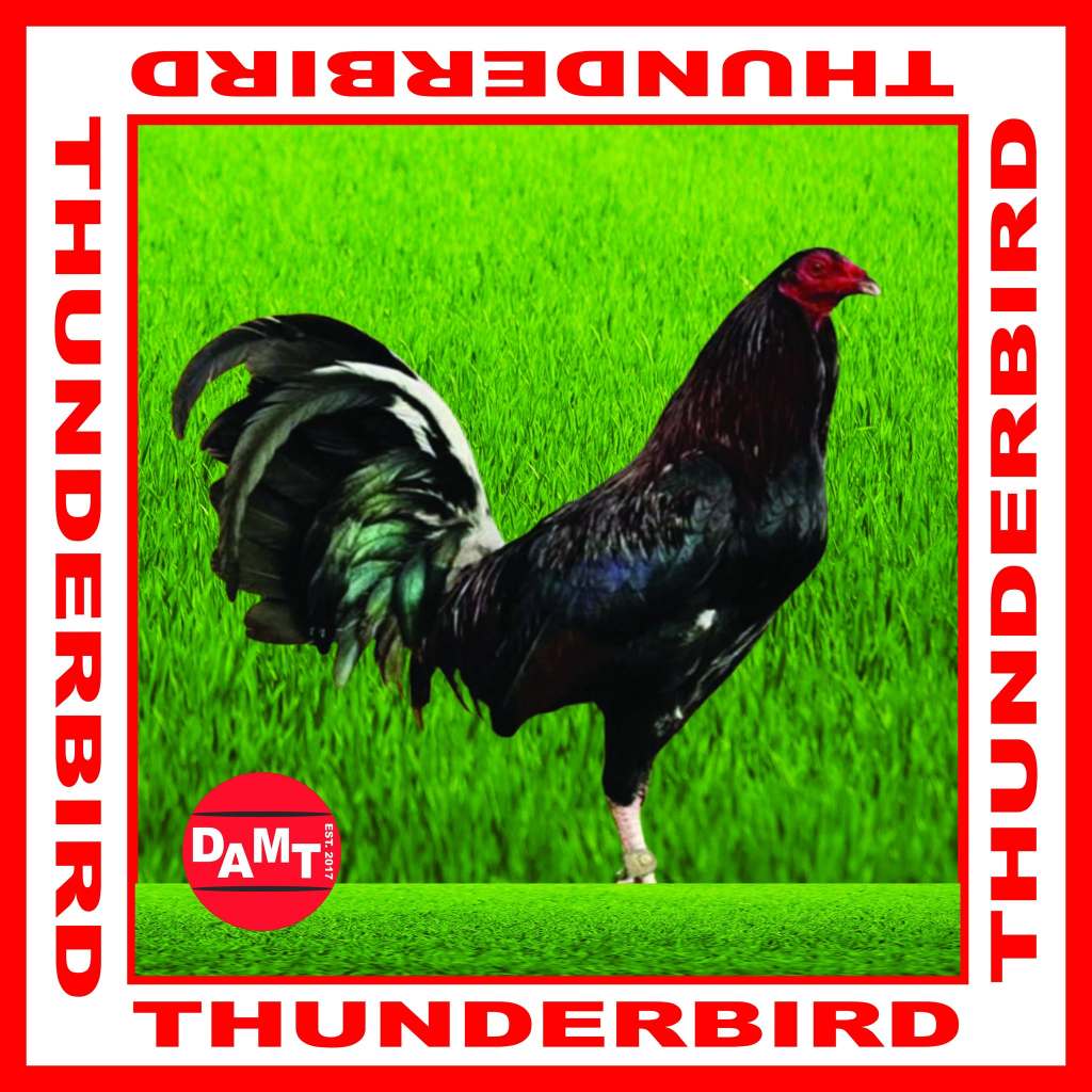 CustomizE Limber matting 4x4 feet for rooster | Shopee Philippines