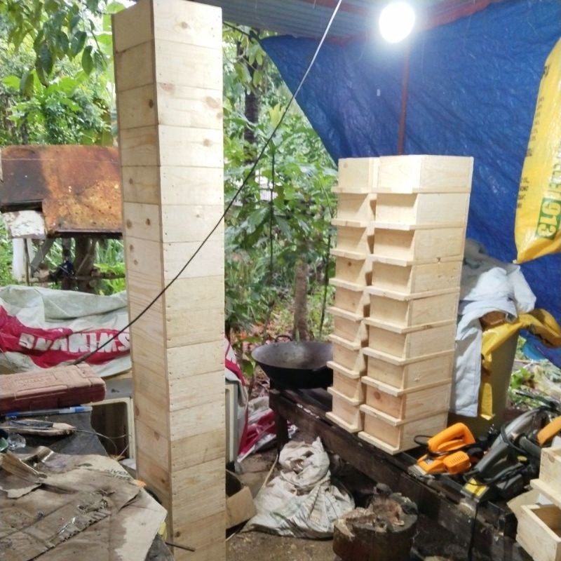 Beehive stingless bee box hive palochina wood | Shopee Philippines