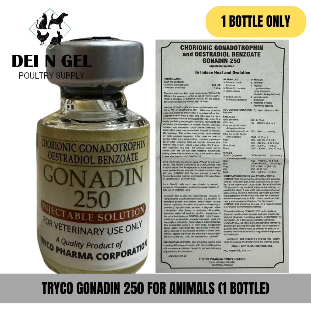 GONADIN 250 INJECTION SOLUTION (2ML AMPULE) | Shopee Philippines