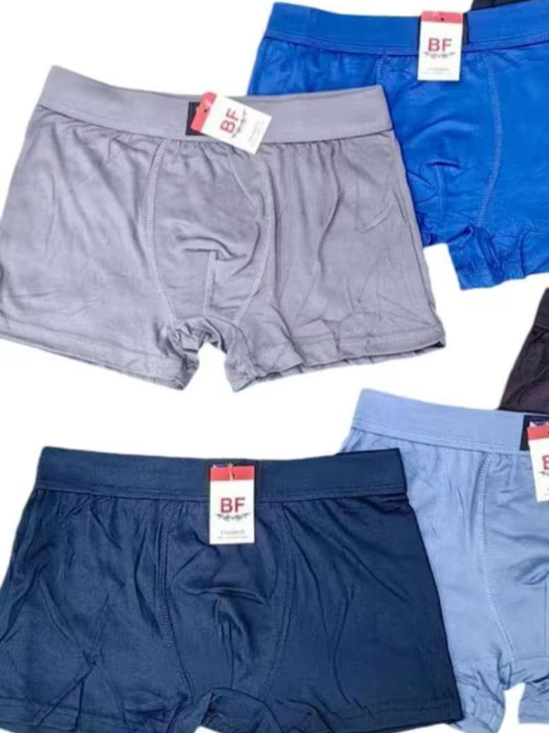 6/12 Pcs Asstd Cotton Boxer Brief,BF boxer, murang boxer panlalaki ...