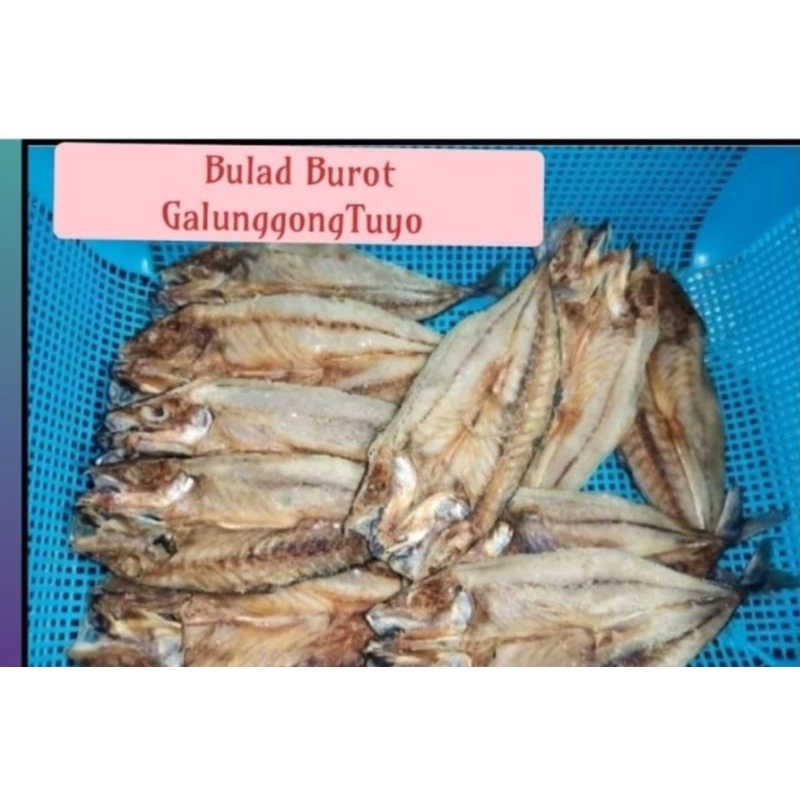 Bulad Burot Driedfish from Gensan (Tuyo) | Shopee Philippines