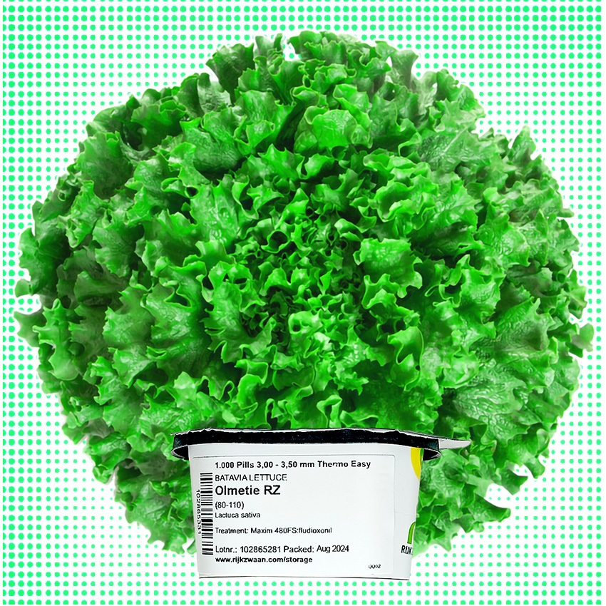 Olmetie seeds RZ 1000 pelletized seeds with FREE MAXIMUS SEEDS | Shopee ...