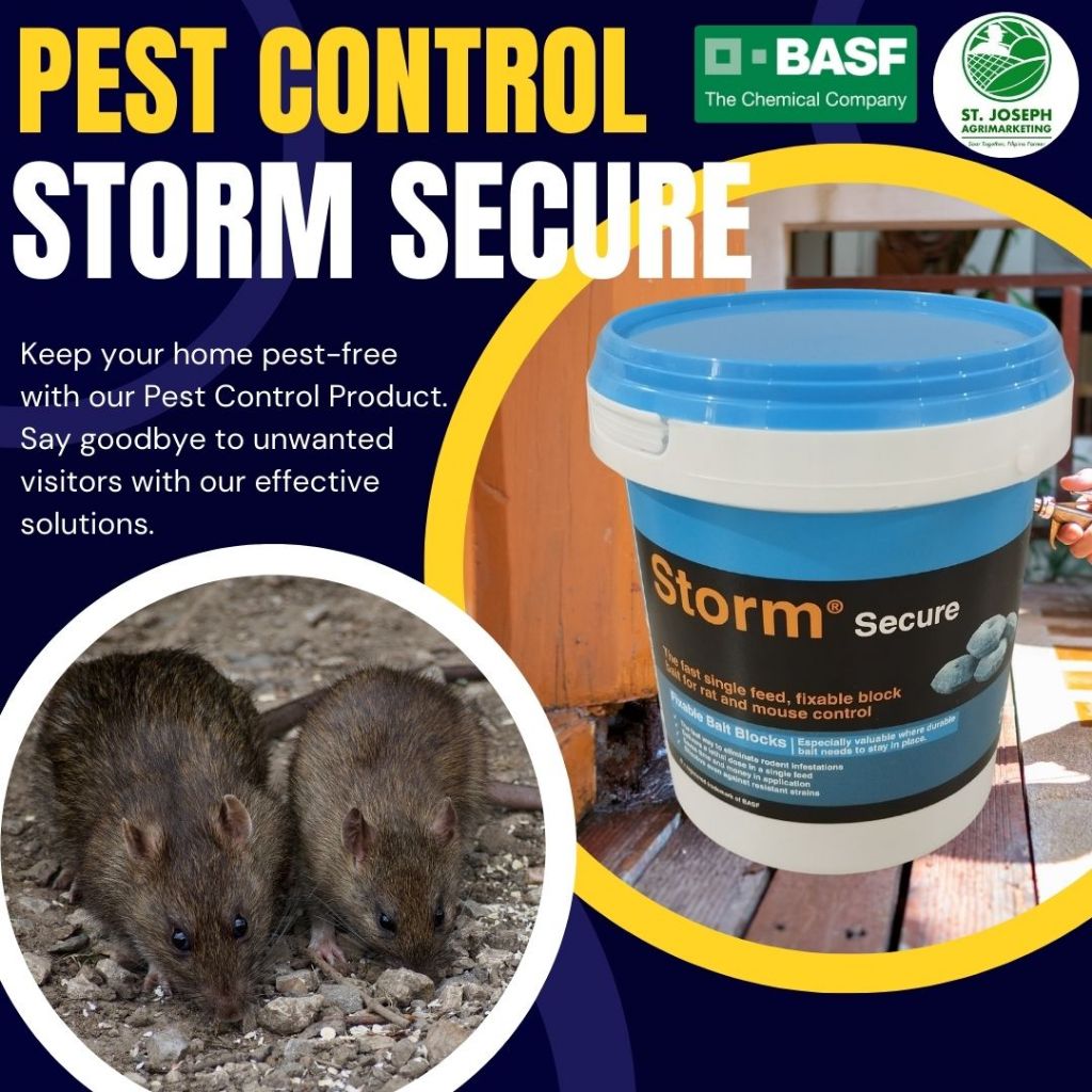 BASF Storm® Secure Pest Control 500g | Shopee Philippines
