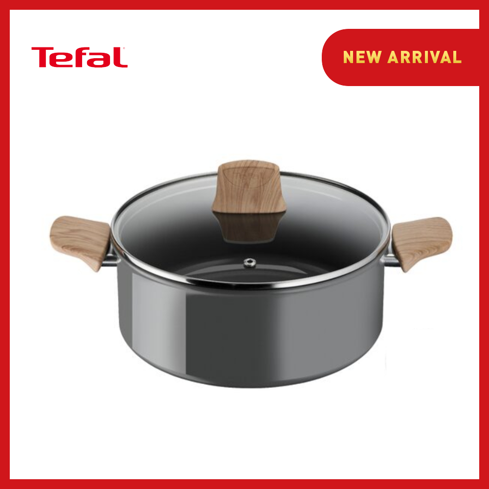Tefal ReNew Stewpot 24cm with Lid | Shopee Philippines