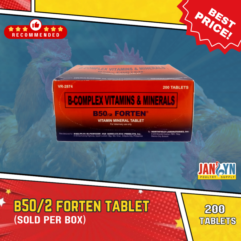 B50 Forten Box 200 Tablet - 20 Banig | Shopee Philippines