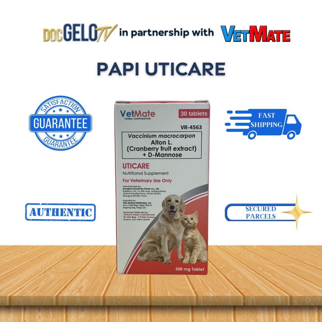 PAPI UTICARE NUTRITIONAL SUPPLEMENT FOR DOGS AND CATS | Shopee Philippines