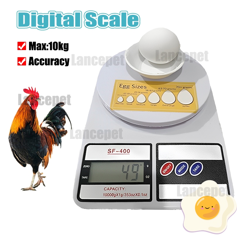 Digital Egg scale scale kitchen scale Chicken egg weighing LCD Dual ...