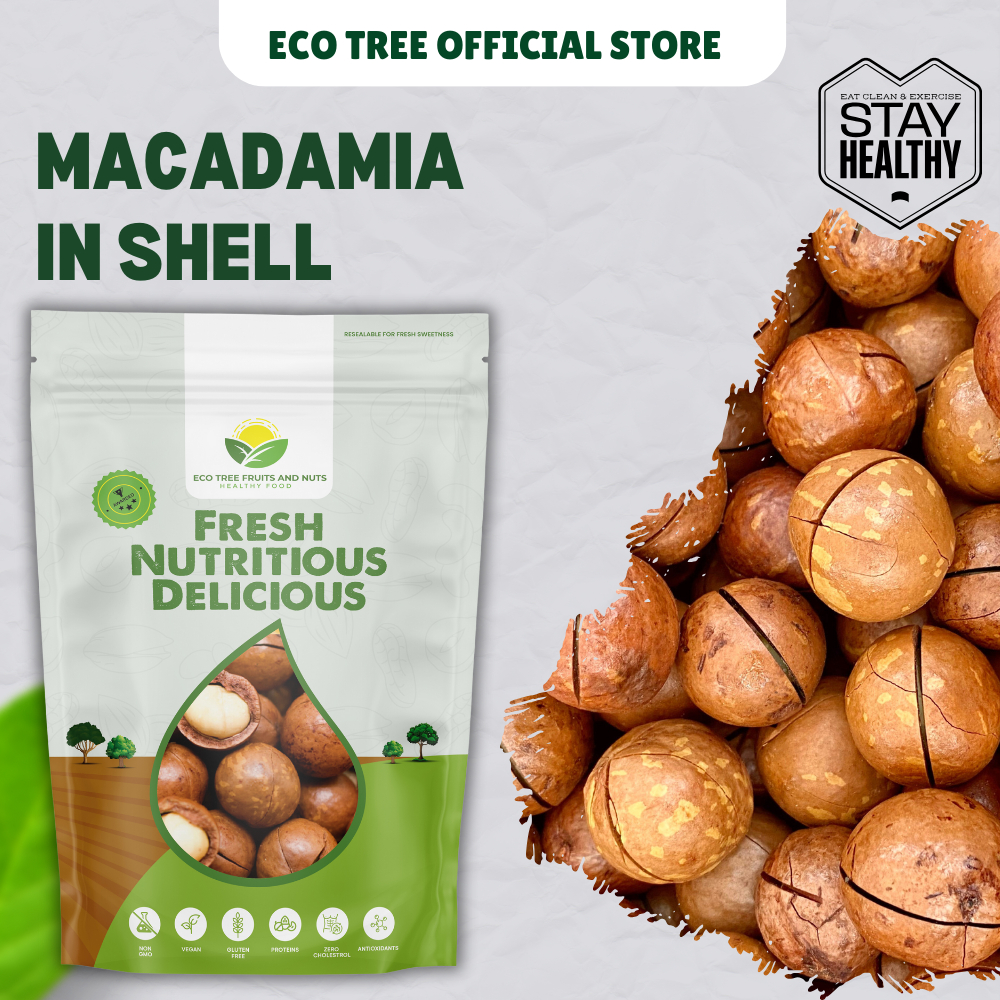 Macadamia Nuts with Shell | Natural & Premium Quality | 500g | Shopee Philippines