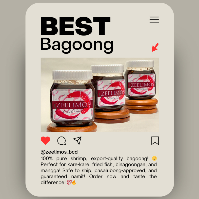 Premium Ginamos/Bagoong – 100% Pure Shrimp! Clean & Export Quality - ZEELIMOS | Shopee Philippines