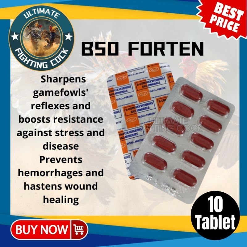 B50 FORTEN 10 TABLET (SOLD PER BANIG) | Shopee Philippines