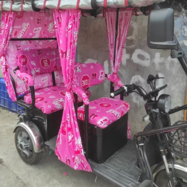 Complete curtain set and seat cover set for E-bike 3 wheels ERVS ,ERVS2 ...