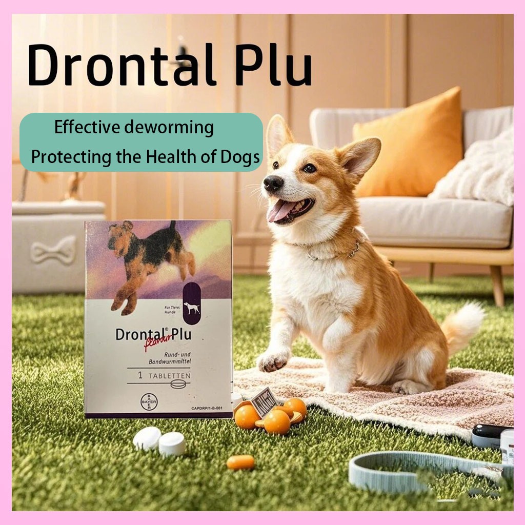 Drontal Plus Drontal Dewormer Tablets for Dog(1tablet)Deworm Roundworm ...