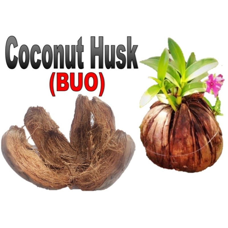 Coconut Husk / BUNOT (BUO) for plants Orchids | Shopee Philippines