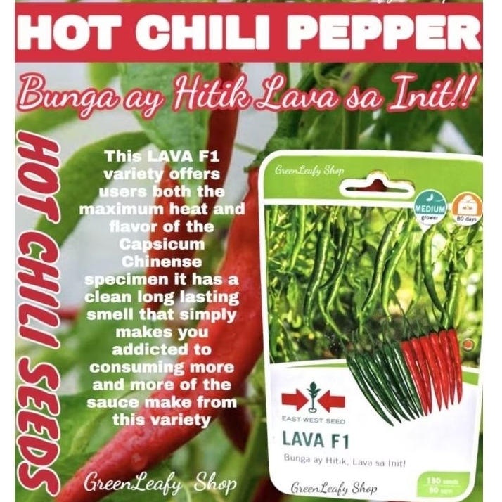 SILING PULA HABA LAVA F1(150 SEEDS) HYBRID HOT PEPPER SUPER ANGHANG ...
