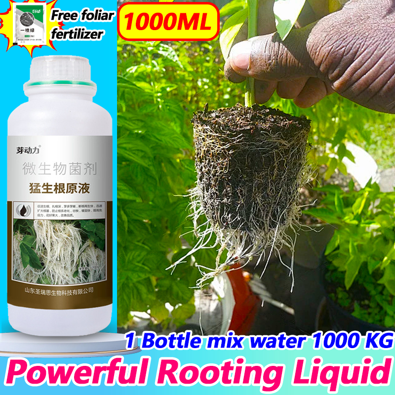 rooting liquid for plants 500 G / 1000 G from Japan | Shopee Philippines