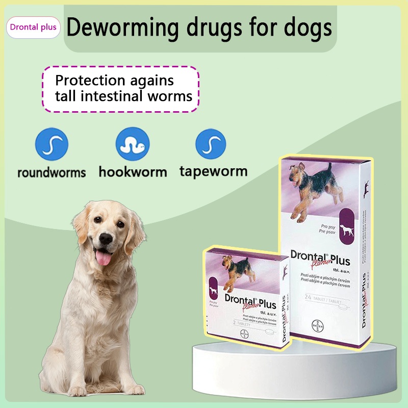 Drontal Plus deworming for puppy 1Tablet use for Tapeworm Roundworm ...