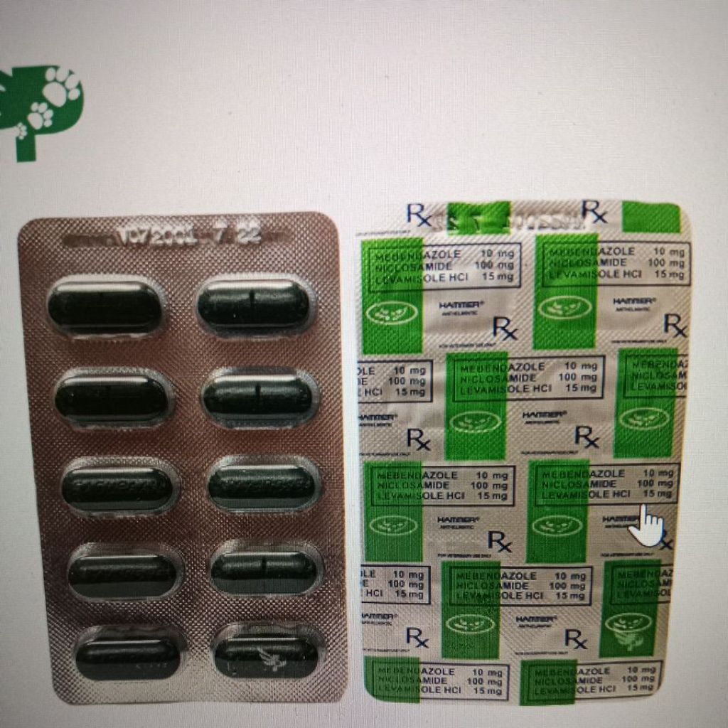 HAMMER TABLET(sold per banig) | Shopee Philippines