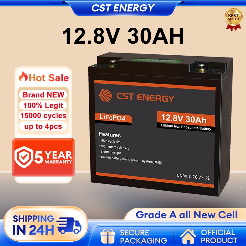 CST ENERGY LiFePo4 Battery 12V30AH LiFePo4 Battery 12V100AH with ...