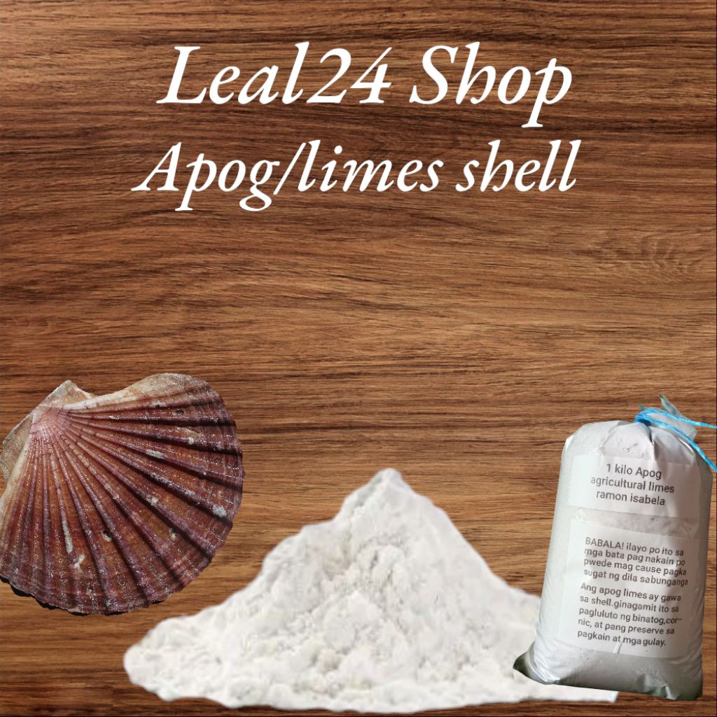1kilo Apog/LIMES shell ginagamit pang binatog/cornick | Shopee Philippines