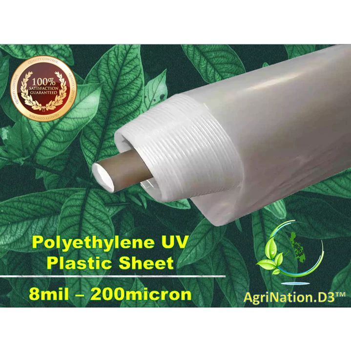 UV Plastic Sheet (6 mil - 150 Microns) - 10ft x 10 meter/10ft x 15 ...