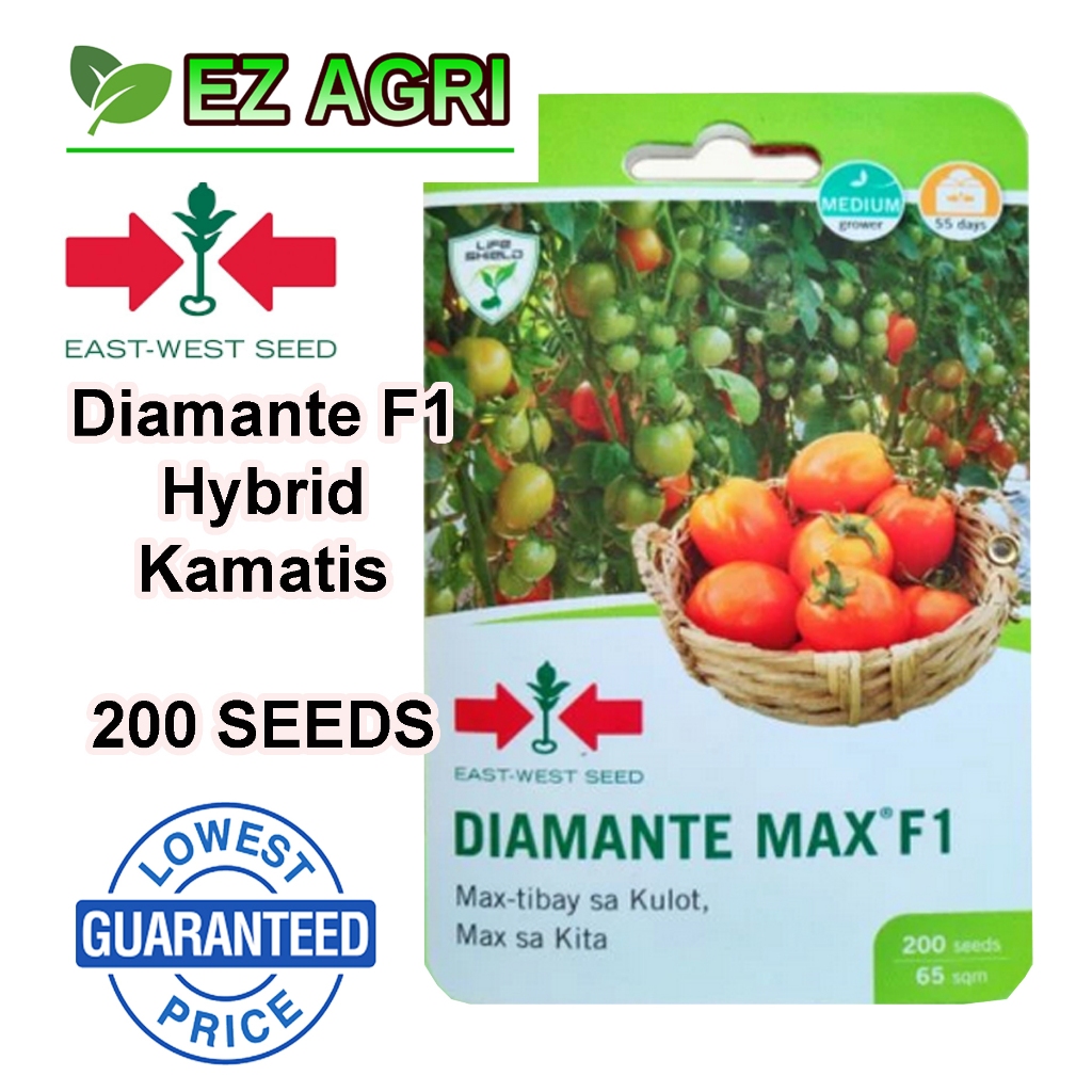 EZ EAST WEST KAMATIS HYBRID F1 ORIGINAL DIAMANTE F1 HYBRID 200 SEEDS ...