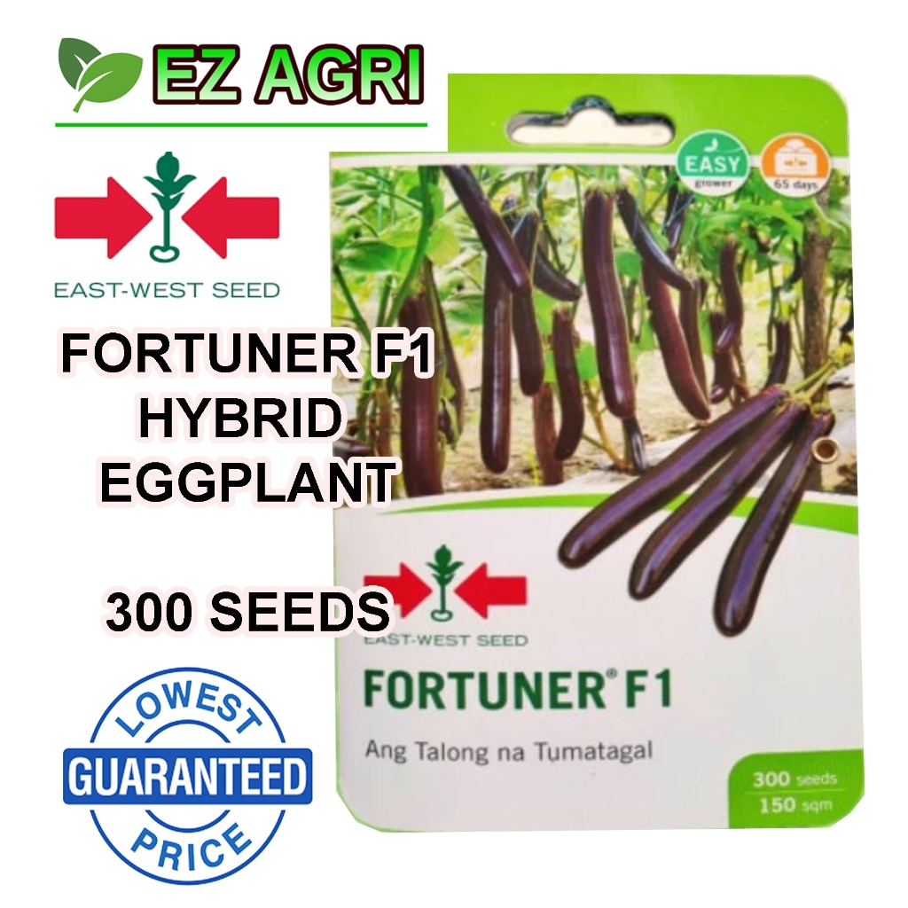 EZ EAST WEST TALONG HYBRID F1 ORIGINAL FORTUNER F1 HYBRID 300 SEEDS ...