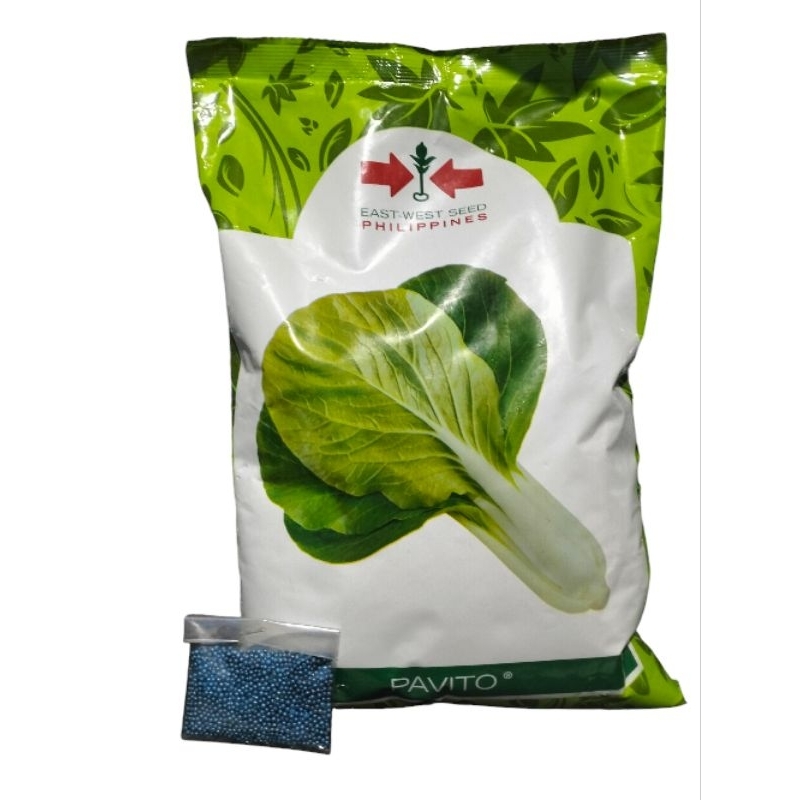 500+ Seeds pavito Pechay East West seeds | Shopee Philippines