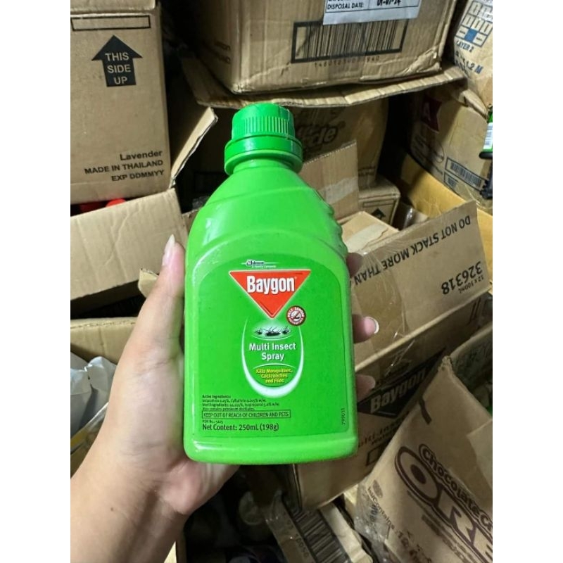 Shop baygon spray for Sale on Shopee Philippines