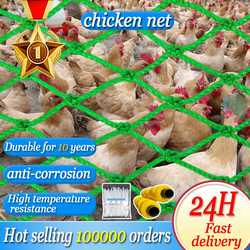 Durable Lambat Outdoor Net Chicken Net 50M/100M Poultry Ranging Net ...