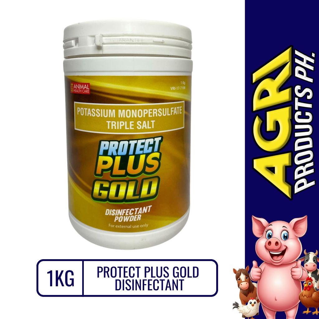 PROTECT PLUS GOLD DISINFECTANT POWDER (1KG) | Shopee Philippines