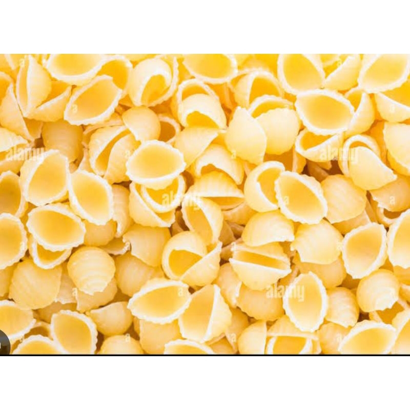 SHELL PASTA New life 500G | Shopee Philippines